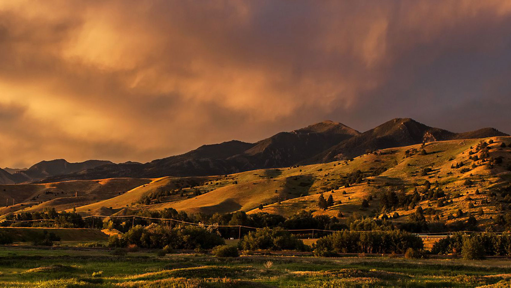 Downtown Bozeman Hotels | Kimpton Armory Hotel